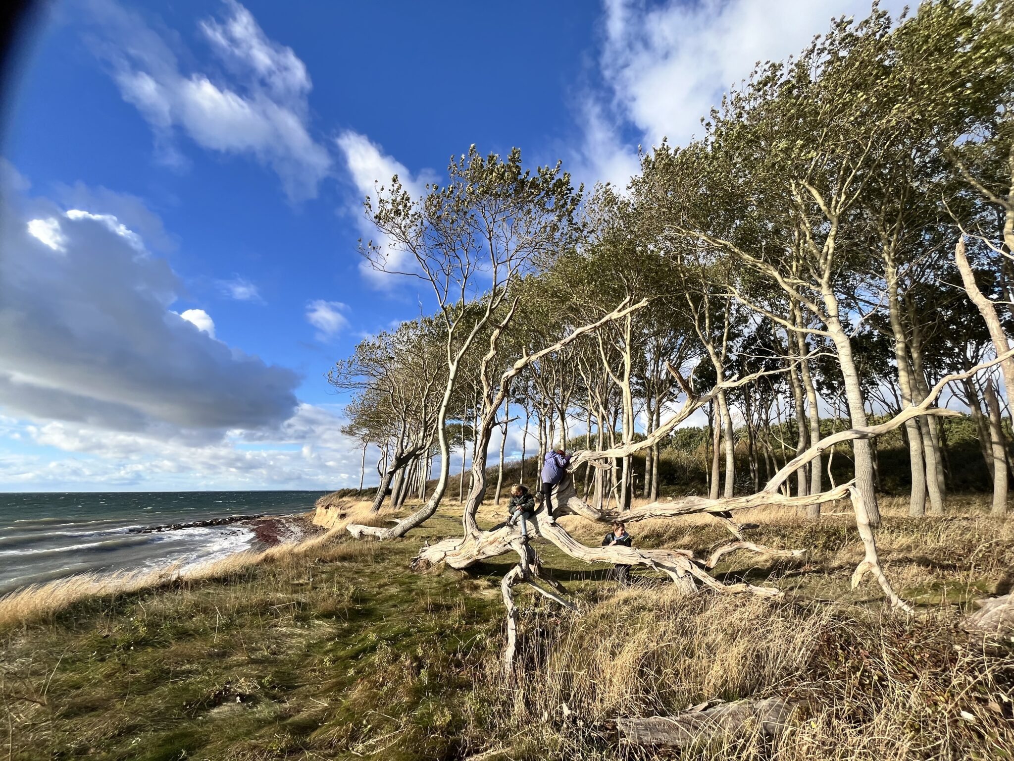 8 Incredible Islands to Visit in Denmark - chasingcoastlines.com