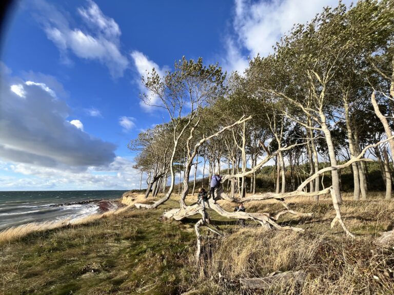 8 Incredible Islands to Visit in Denmark - chasingcoastlines.com